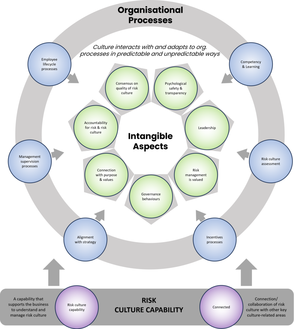 Risk Culture Index - Contexis